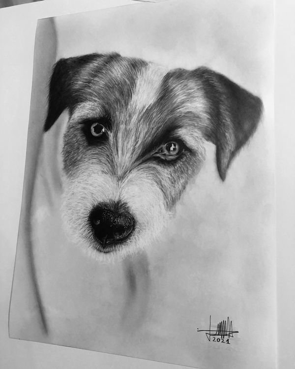 ᐅ Mis trabajos | Retratos realistas a lápiz y carboncillo